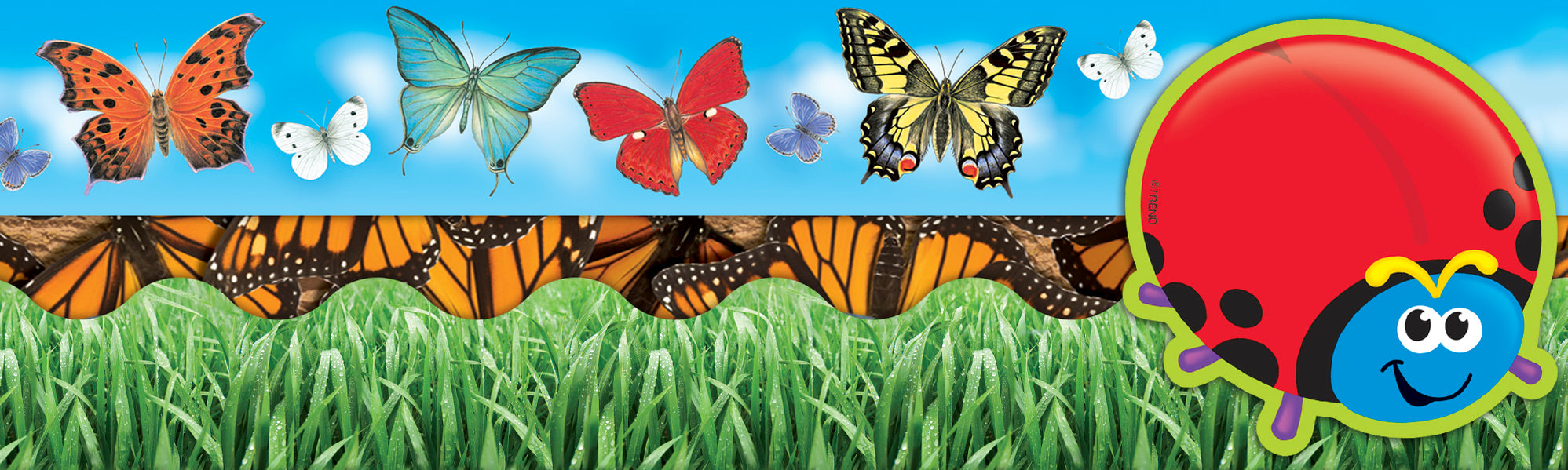 Bug Theme Classroom Bulletin Board Decorations — TREND enterprises, Inc.