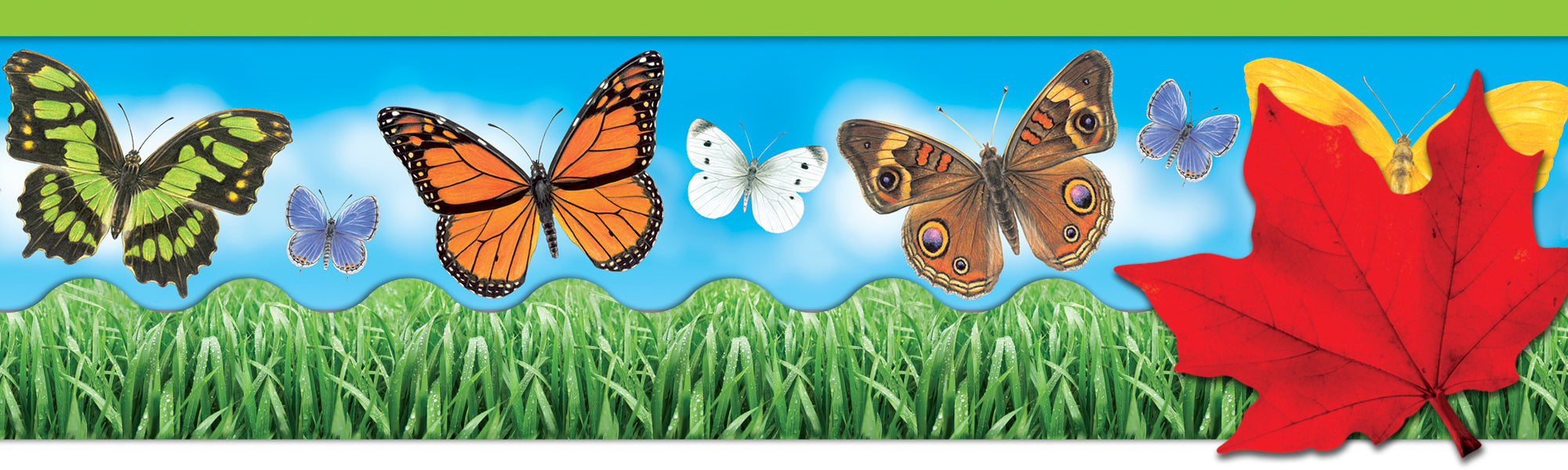 Nature Classroom Theme — Tagged "Category: Learning Charts" — TREND ...