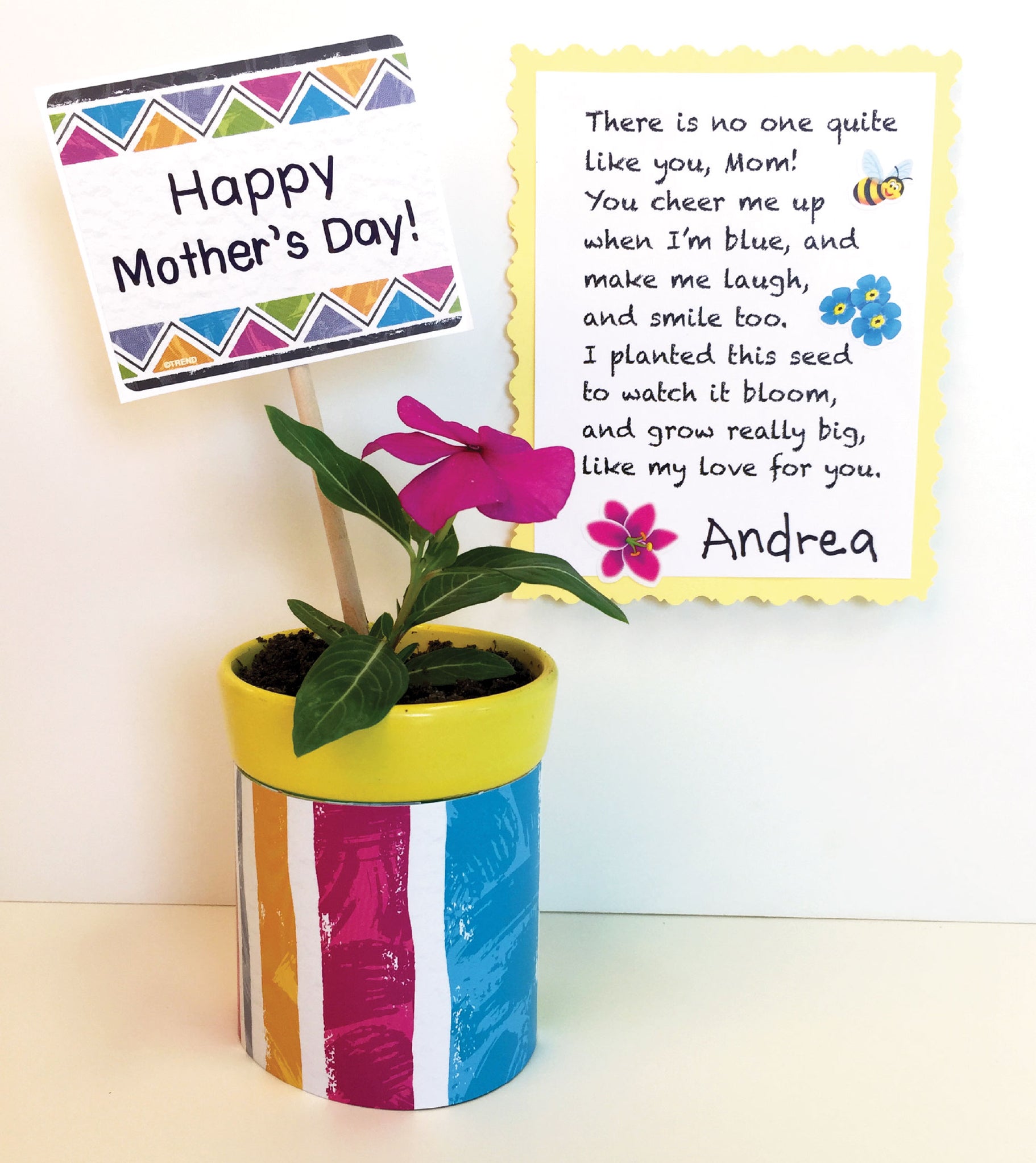 Mother's Day Poem and Planter — TREND enterprises, Inc.