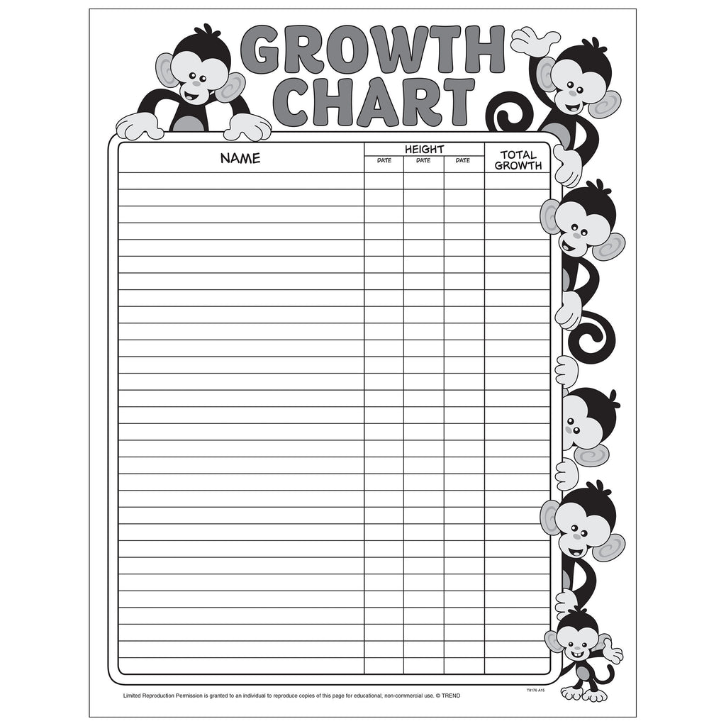 Jungle and Safari Theme Classroom Decorations — TREND enterprises, Inc.