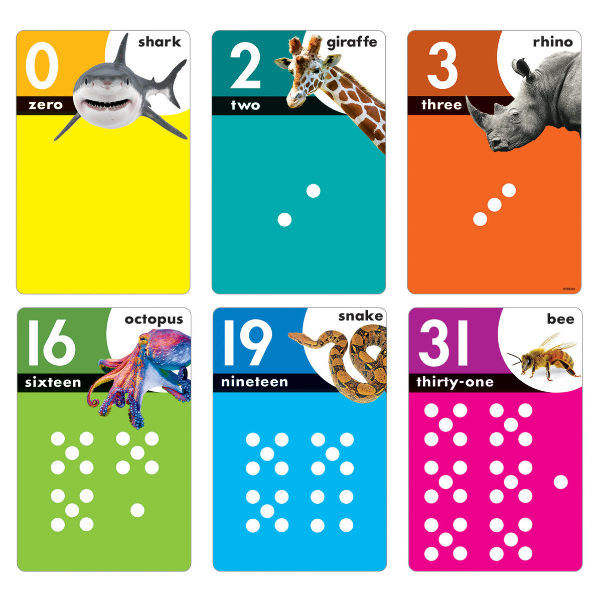 Animal Number Counting Cards 0-31 | TREND enterprises, Inc.