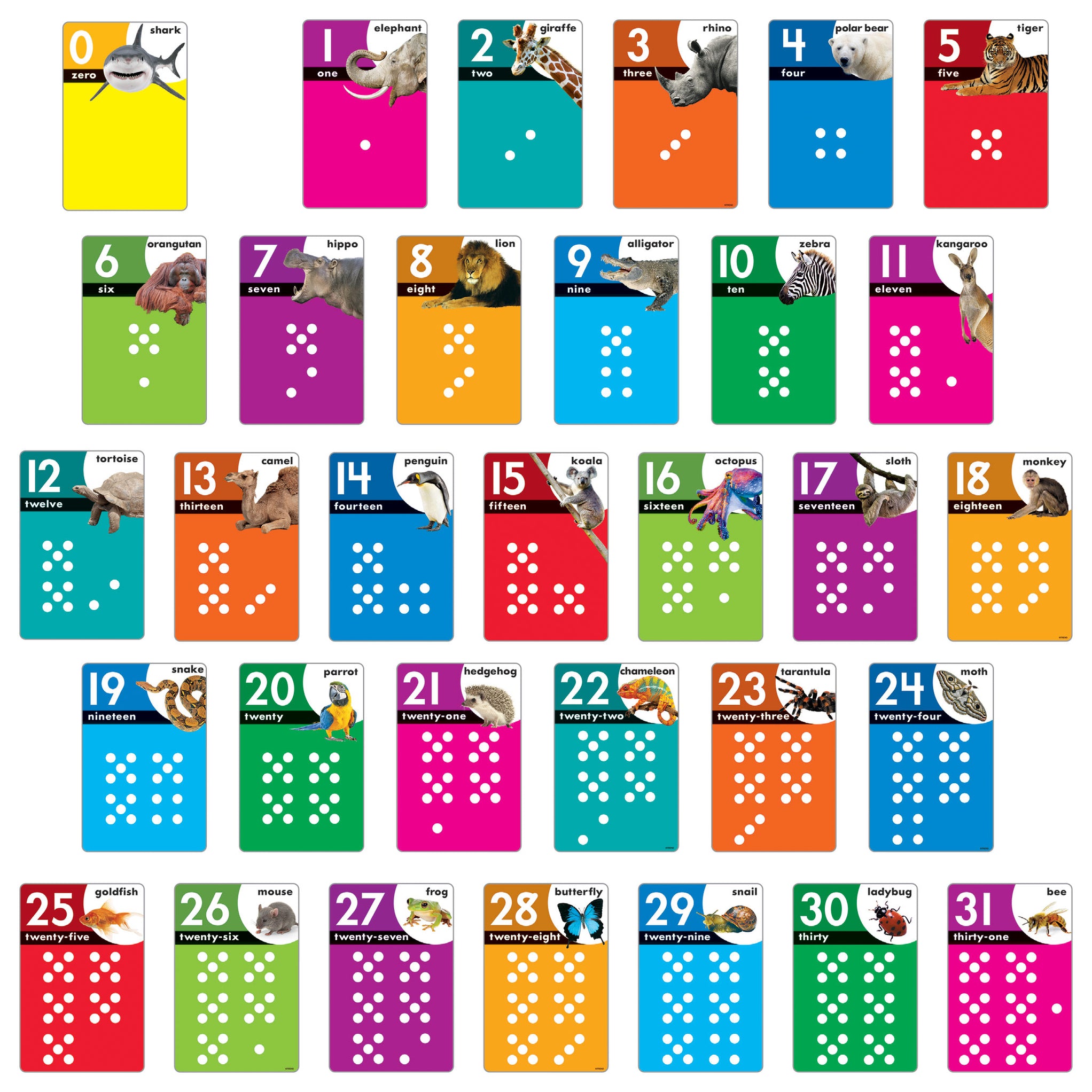 Animal Number Counting Cards 0-31 | TREND enterprises, Inc.