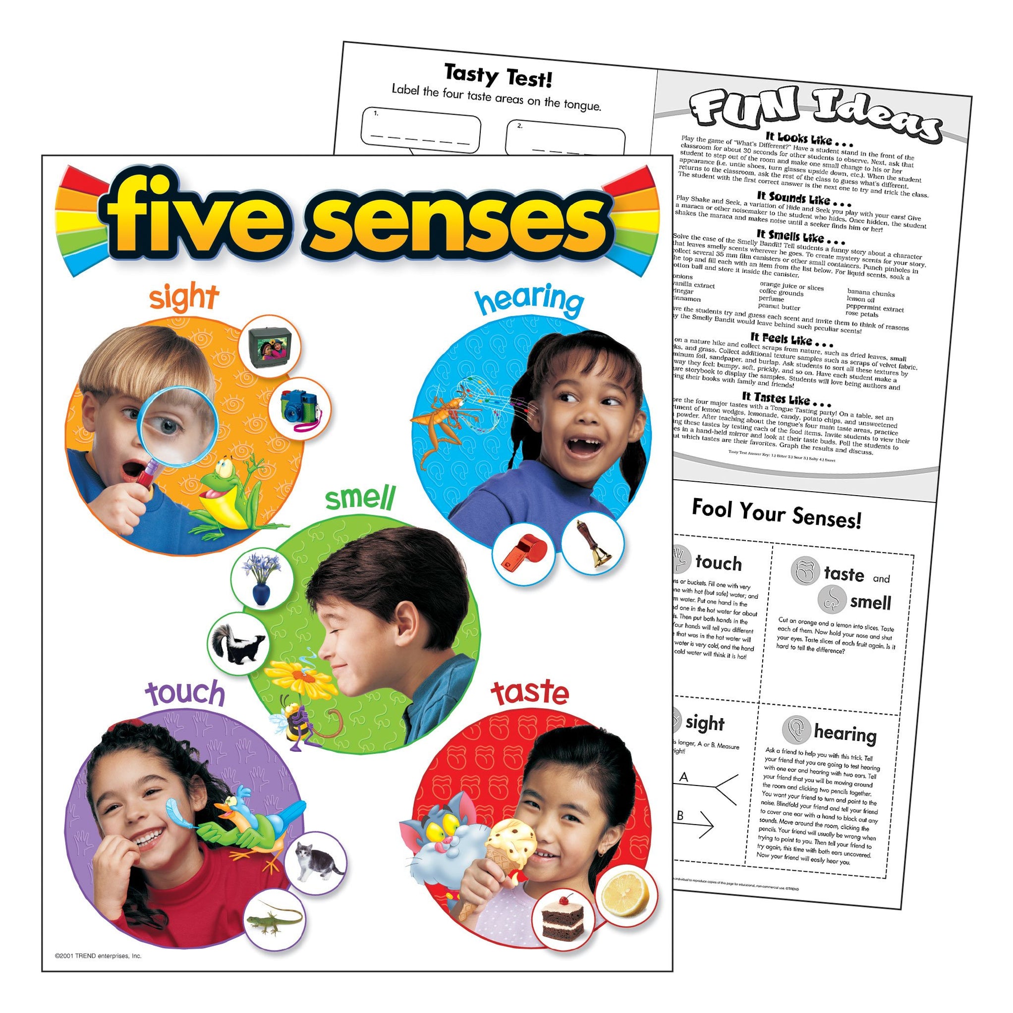 Learning Chart Five Senses T38051 — TREND enterprises, Inc.