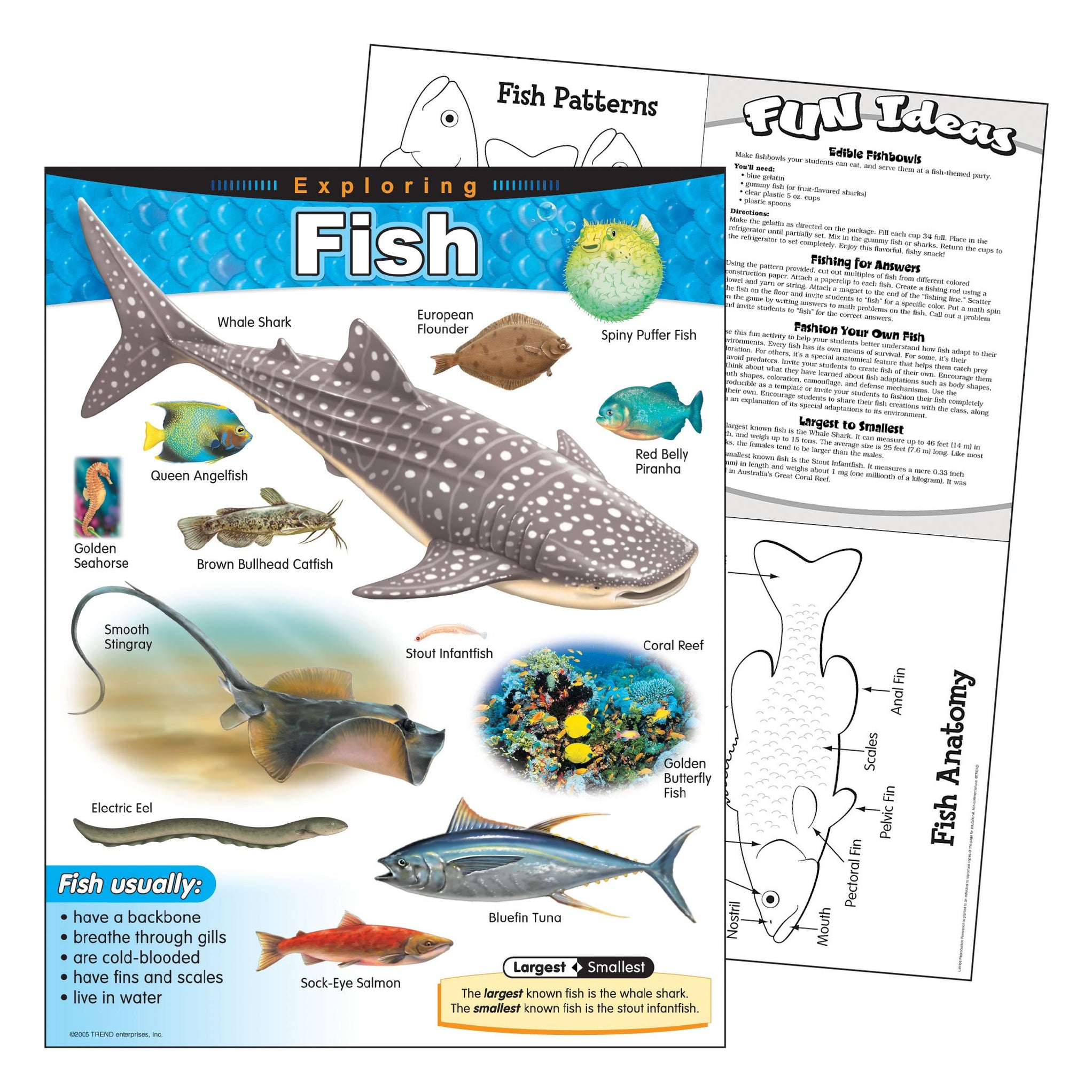 Learning Chart Exploring Fish T38183 — TREND enterprises, Inc.
