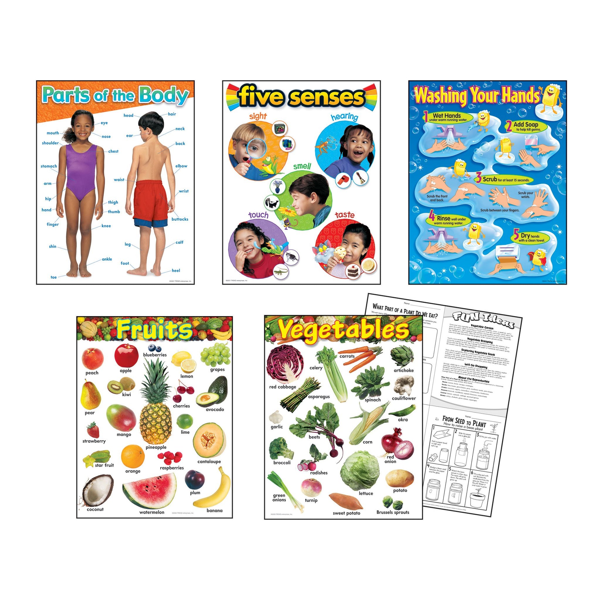 Learning Charts Combo Pack Healthy Living T38980 — TREND enterprises, Inc.