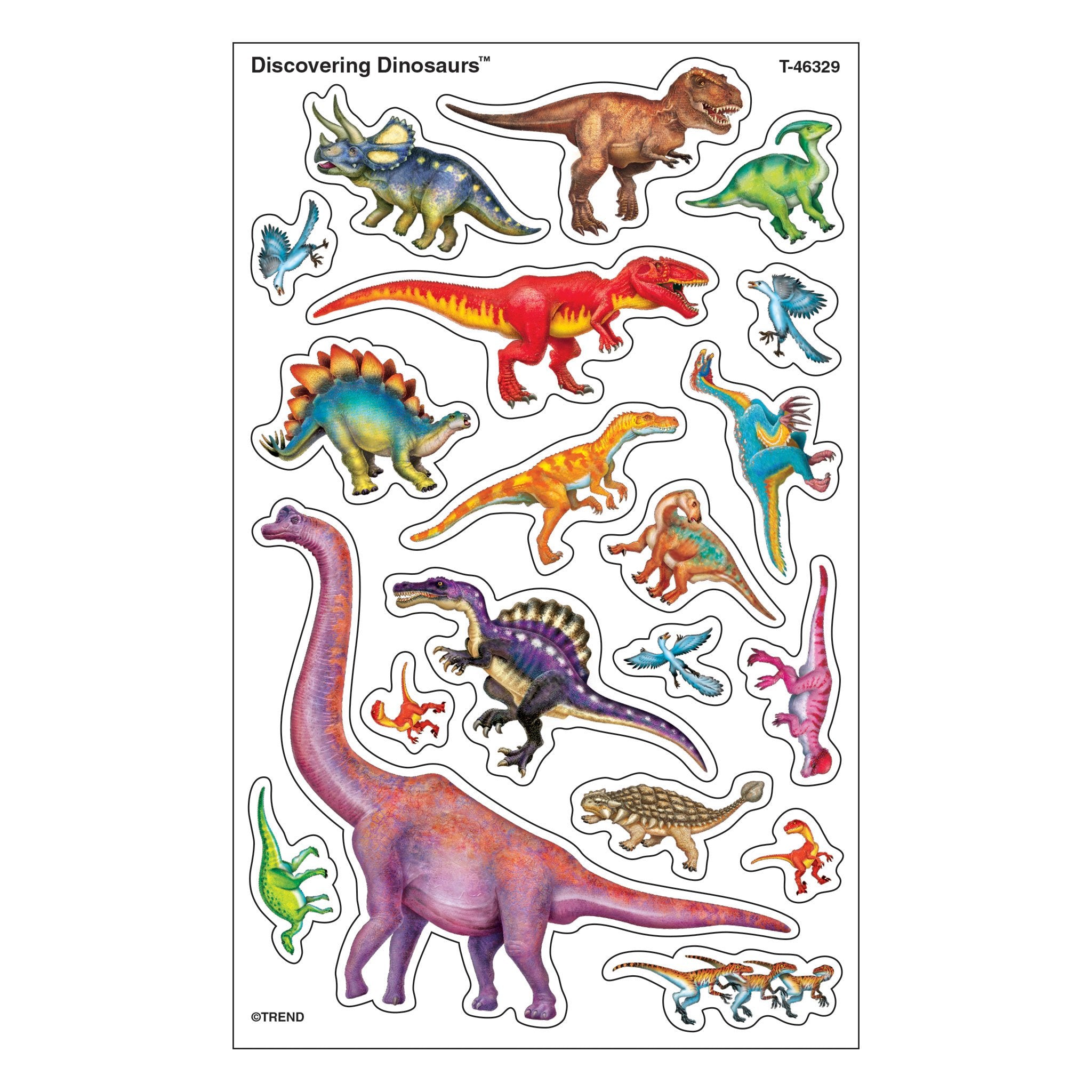 Discovering Dinosaurs® Classroom Bulletin Boards & Decorations — TREND ...