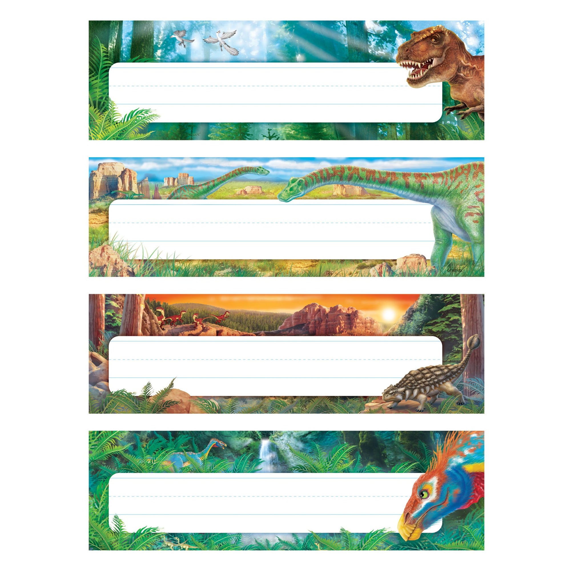 Desk Toppers® Name Plates Variety Pack Discovering Dinosaurs® T69944 ...