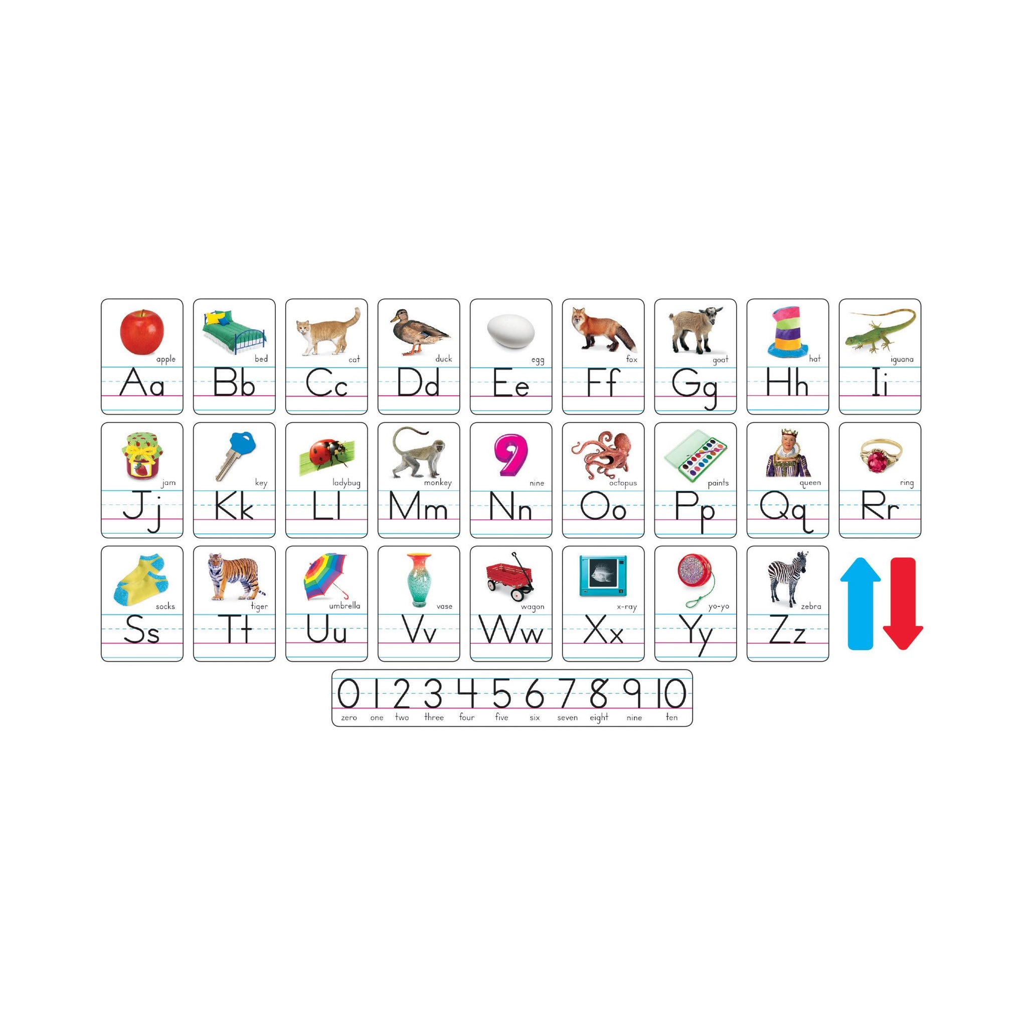 Bulletin Board Set Photo Alphabet Cards Zaner-Bloser Manuscript T721 ...