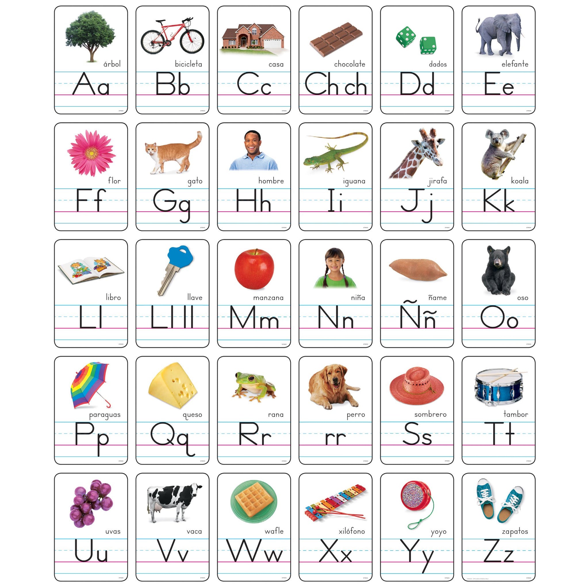 Bulletin Board Set Cartas del abecedario con fotos Manuscrito T8056 ...